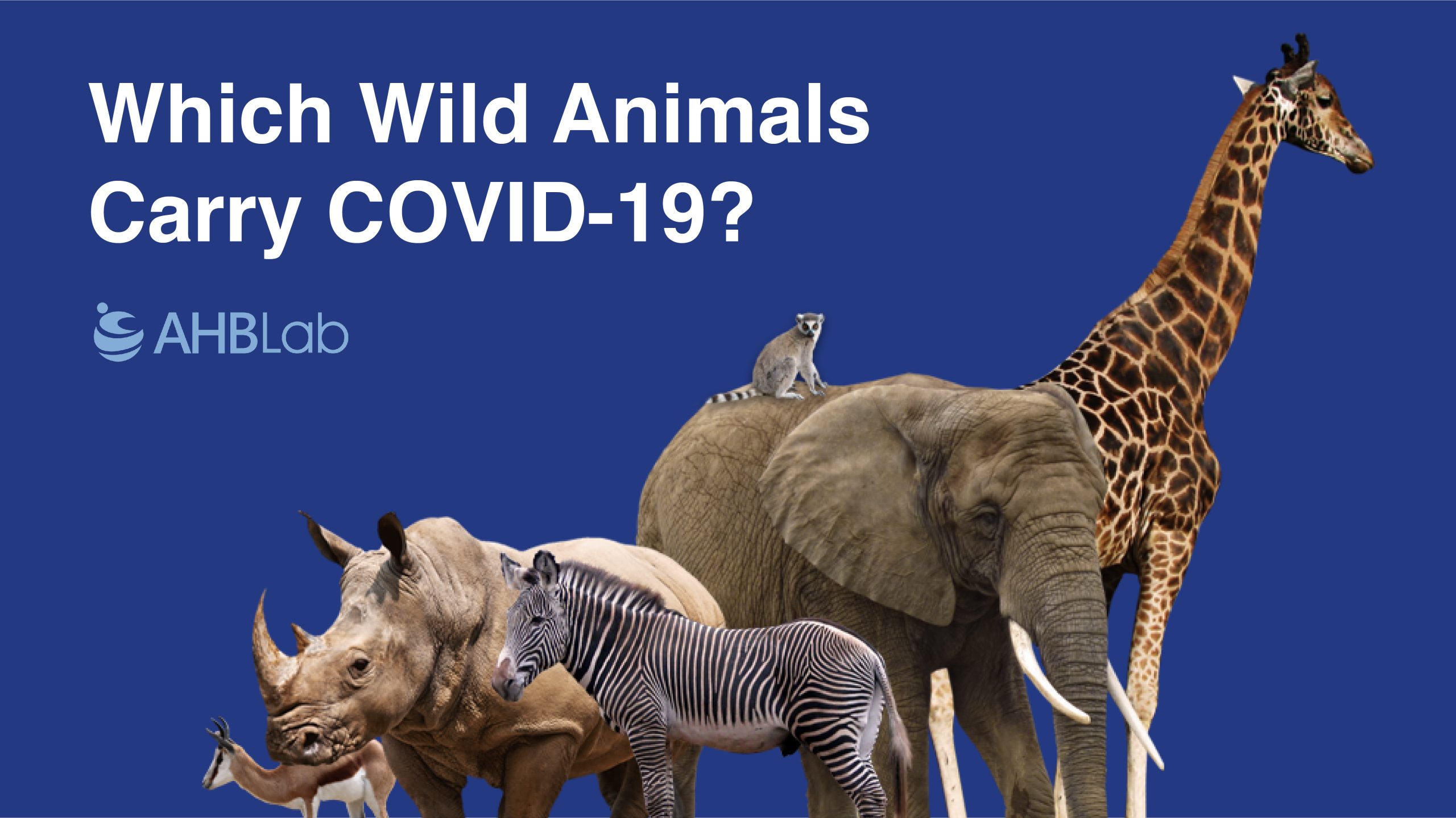 Which Wild Animals Carry COVID-19? - AHB Lab